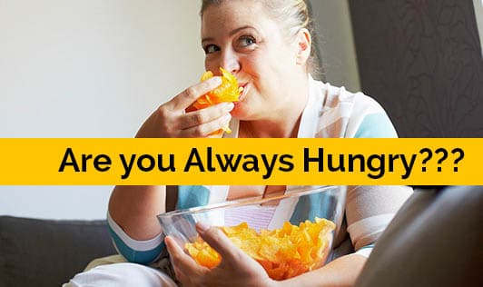 Are you ALWAYS Hungry??? - The Wellness Corner